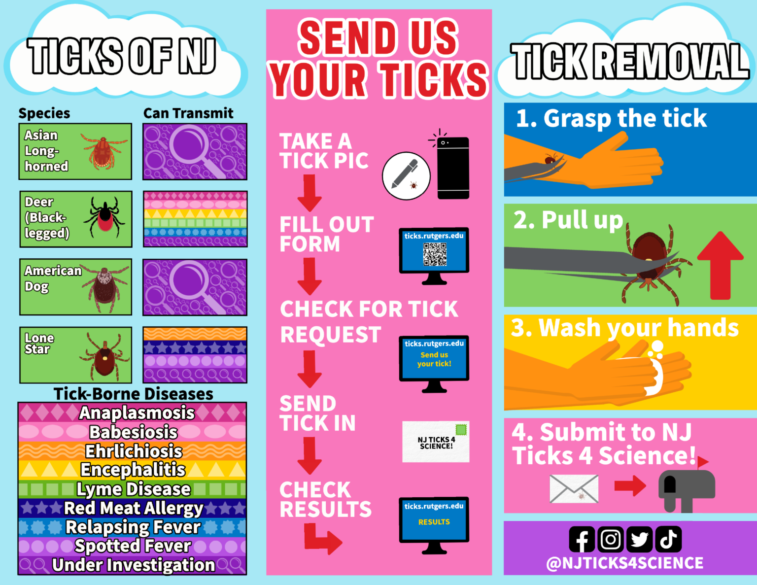 Rutgers Tick Identification and Disease Testing – RCE of Cumberland County